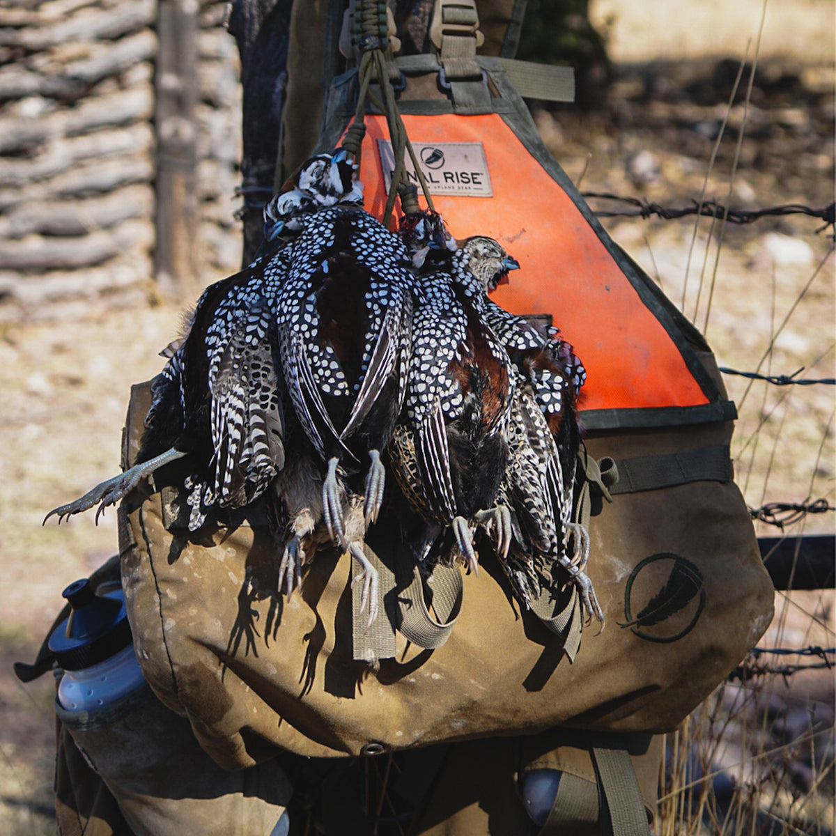 Final Rise Awarded Best Vest of 2023 – FINAL RISE GEAR